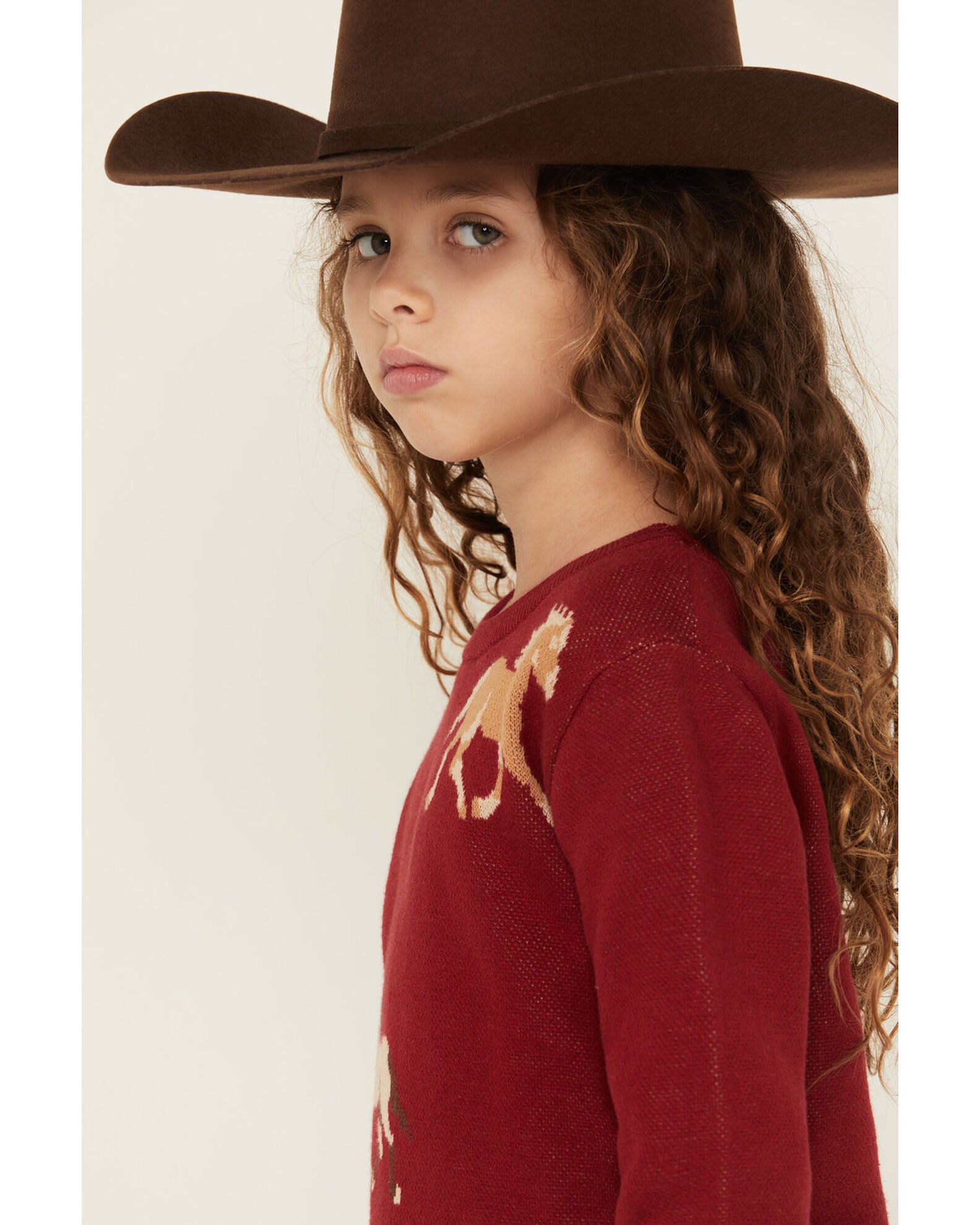 Product Name: Cotton & Rye Girls' Horse Print Sweater