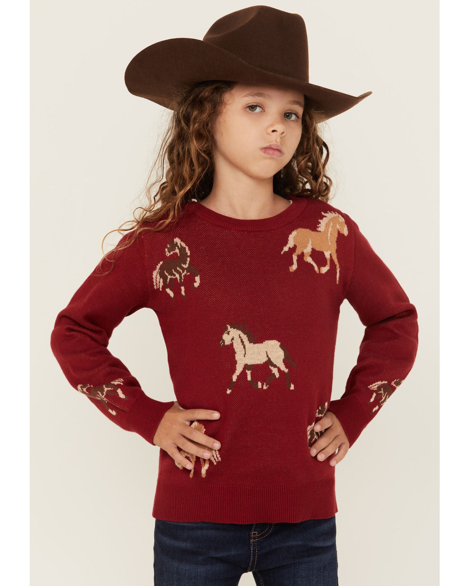 Product Name: Cotton & Rye Girls' Horse Print Sweater
